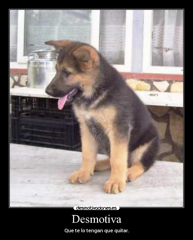 Desmotiva | Desmotivaciones